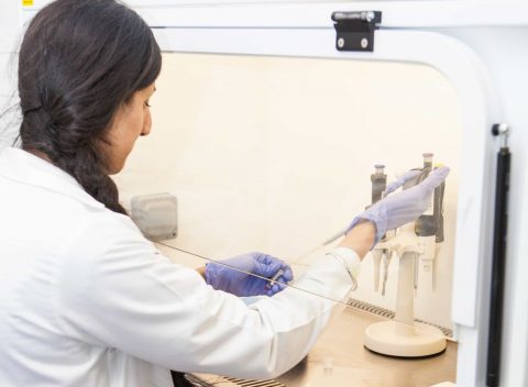 About Us | Parexel London